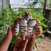 Swole Tiger Muscle Tiger STL File 3D Print Model - Etsy