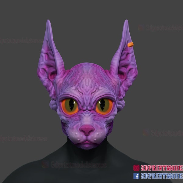 Beerus Cat Costume - Etsy