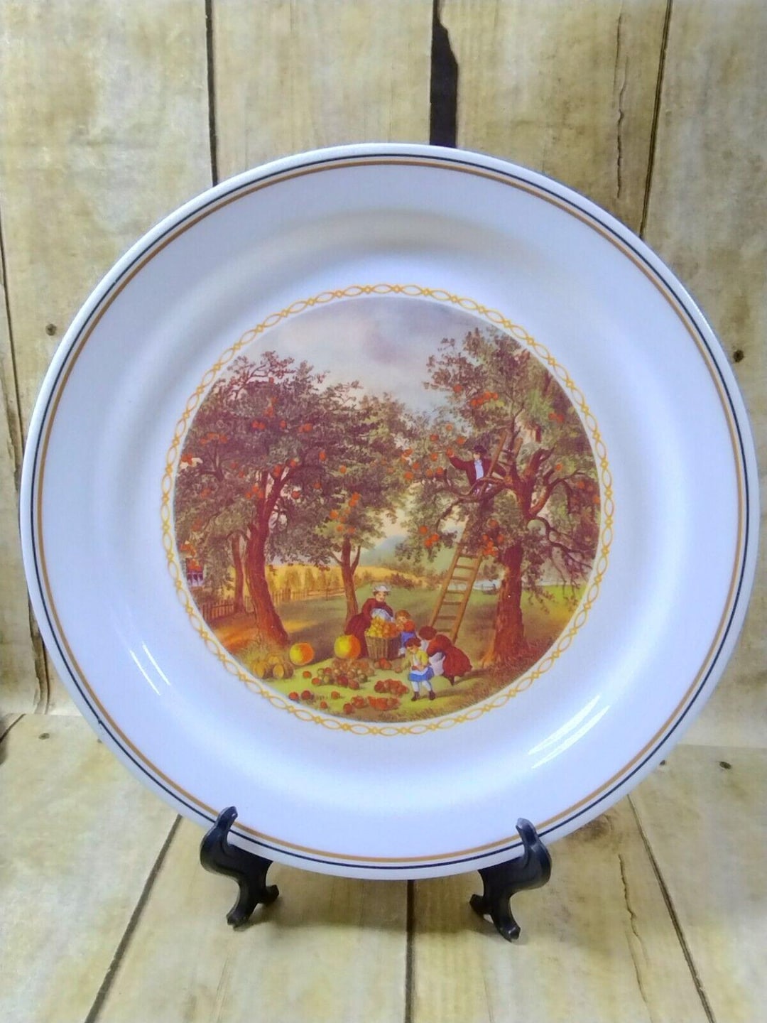 Corelle Cornerstones Apple Harvest Corning Dinner Plate- 10.25" Brown ...
