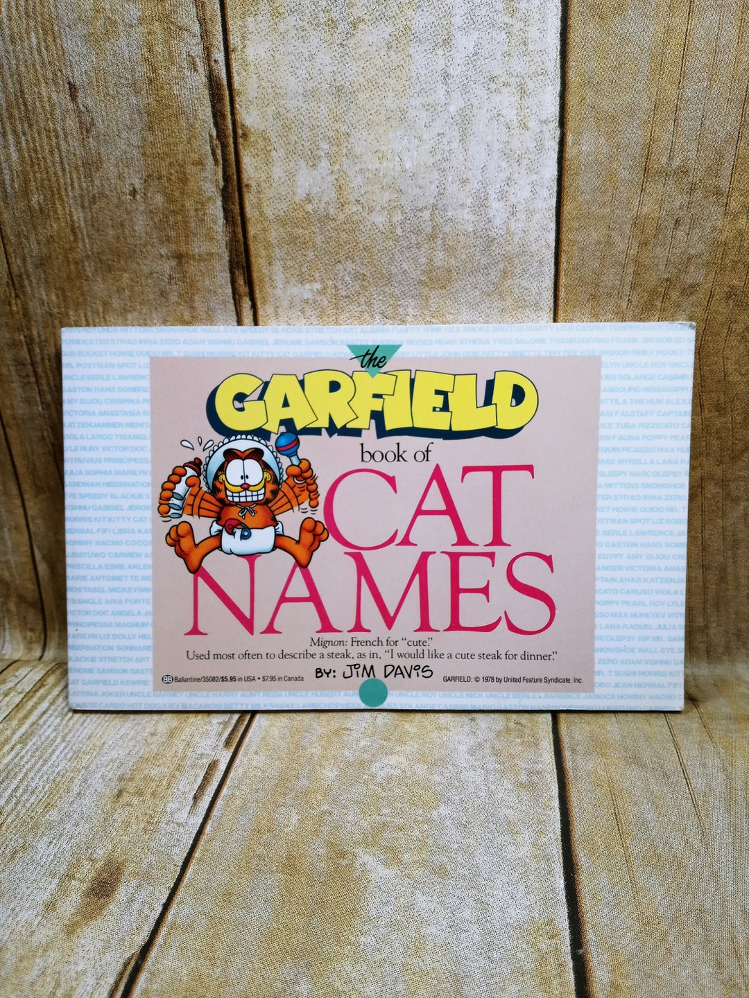 Vintage the Garfield Book of Cat Names by Jim Davis Book (bb2) - Etsy