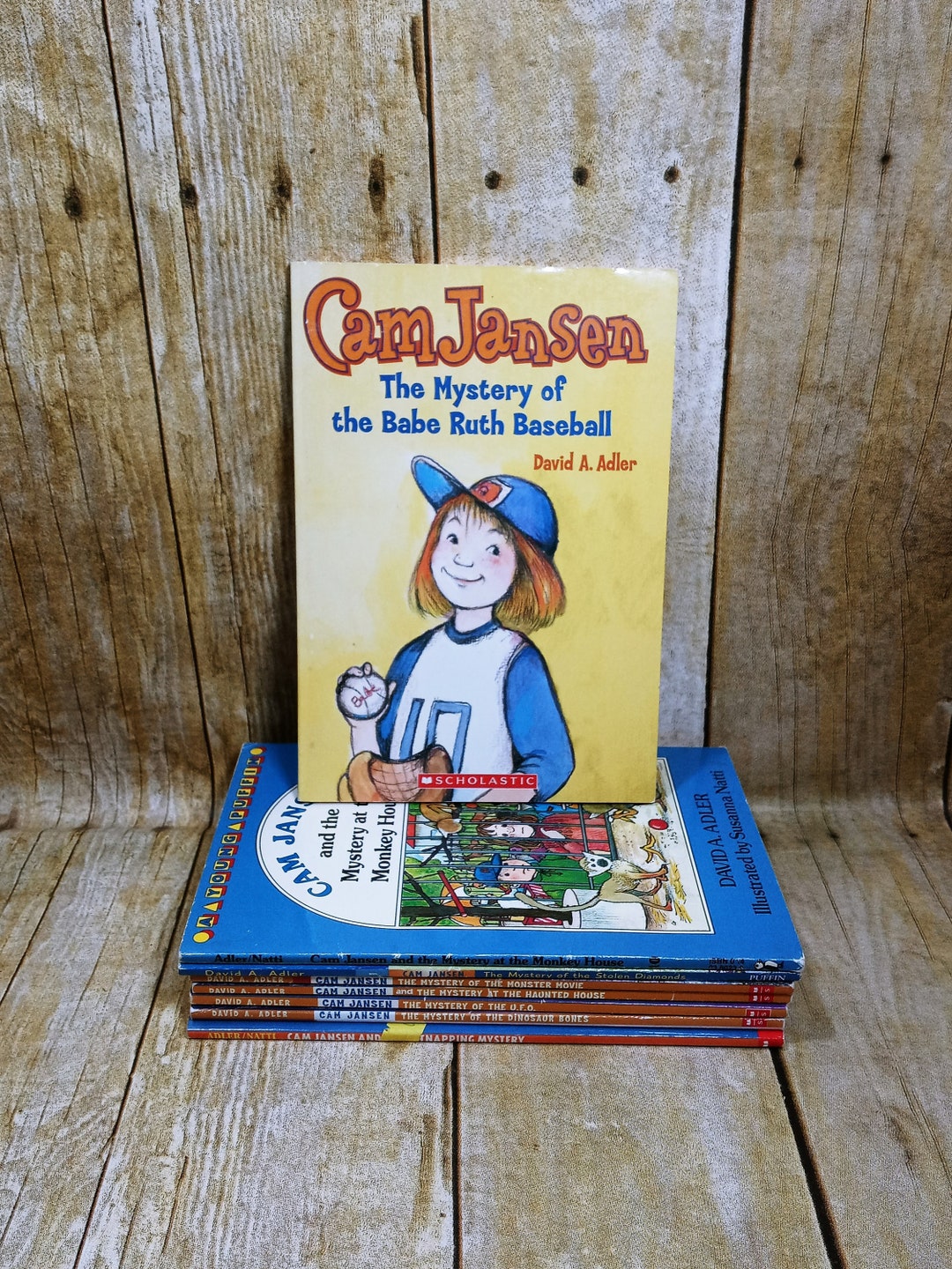 Vintage Cam Jansen by David A. Adler 8 Book Bundle (bb6) - Etsy