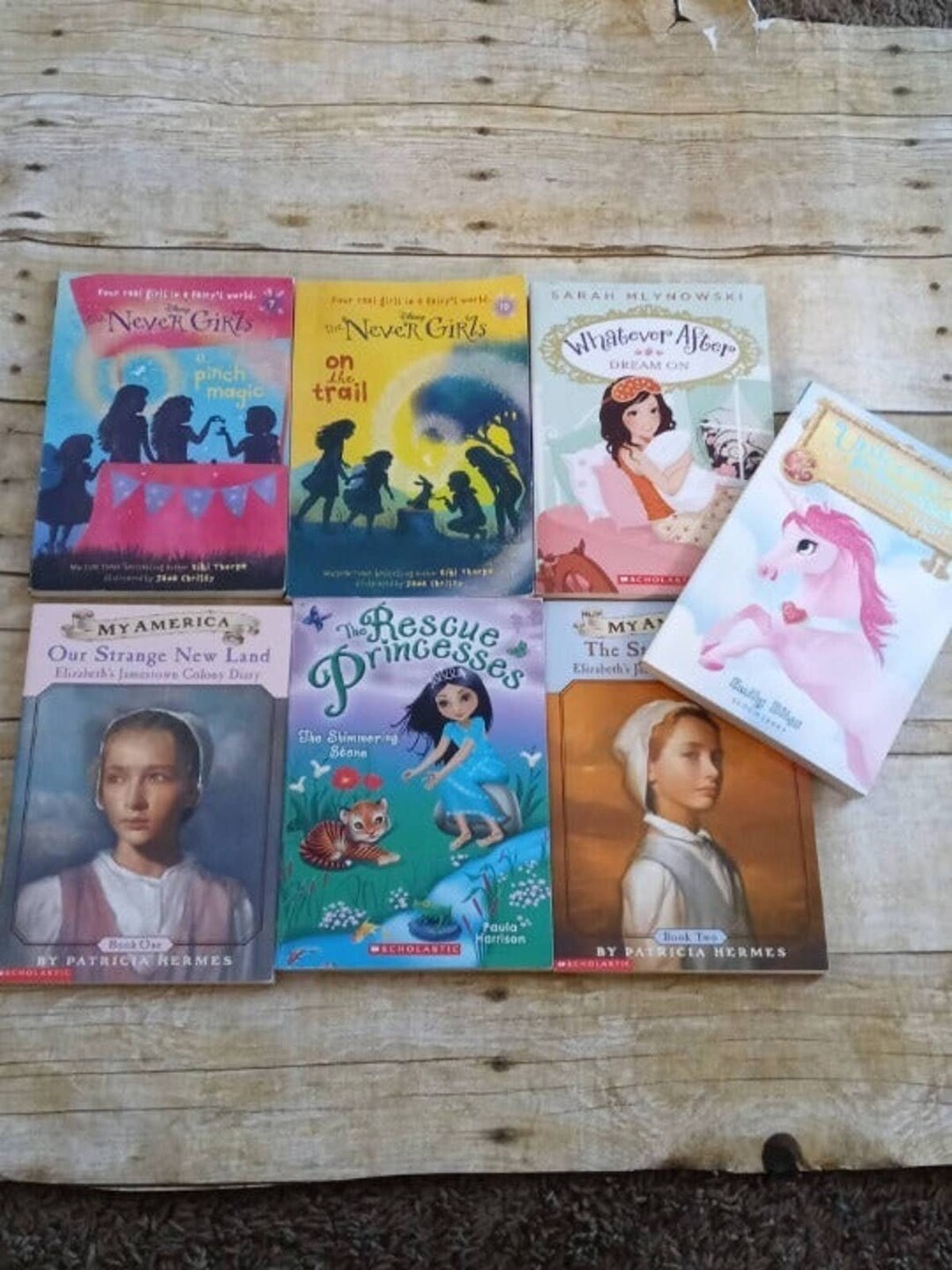 7 Girls Chapter Books RL3/4 - Etsy
