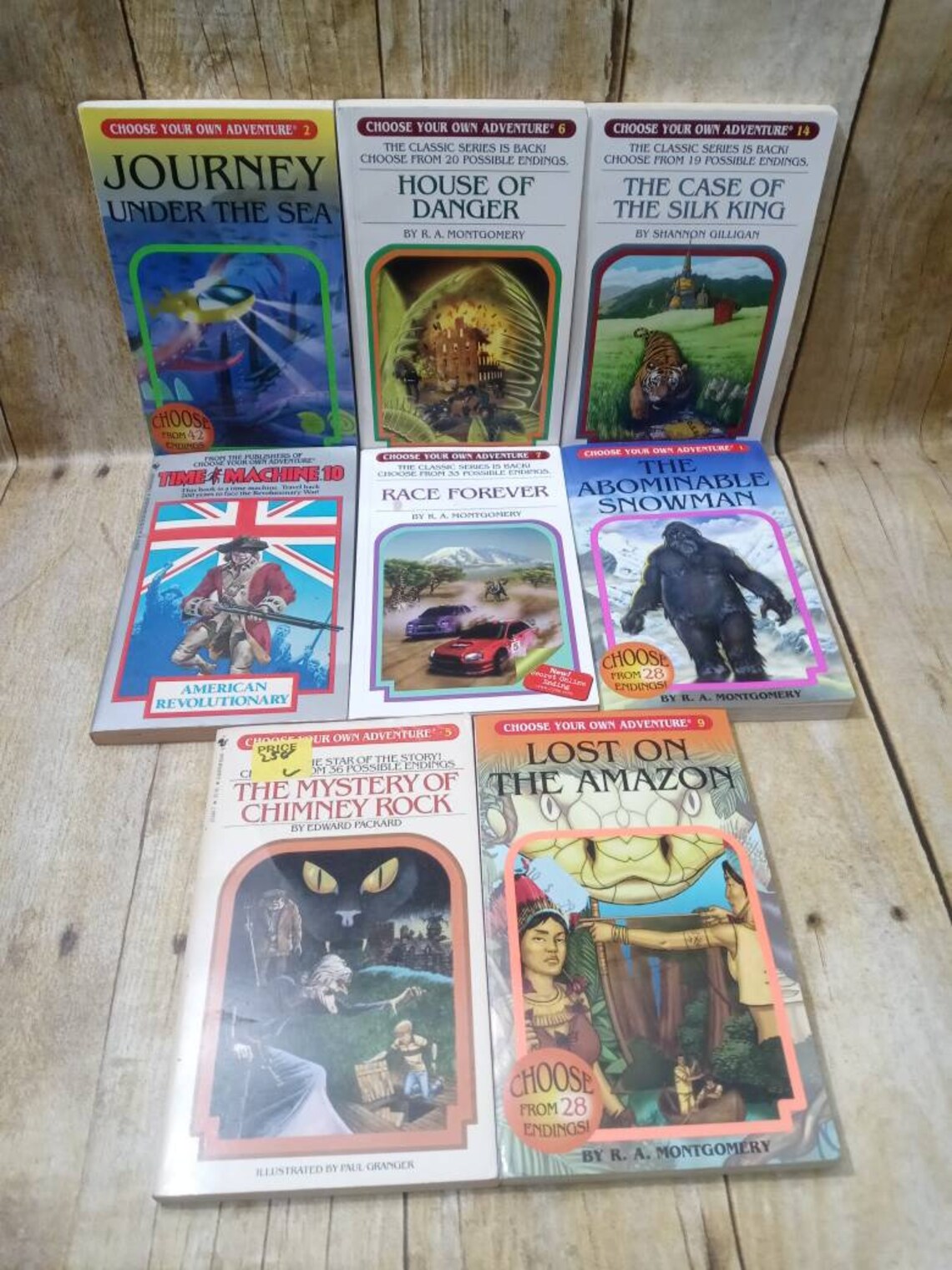 Vintage Choose Your Own Adventure Children's Books Lot of - Etsy