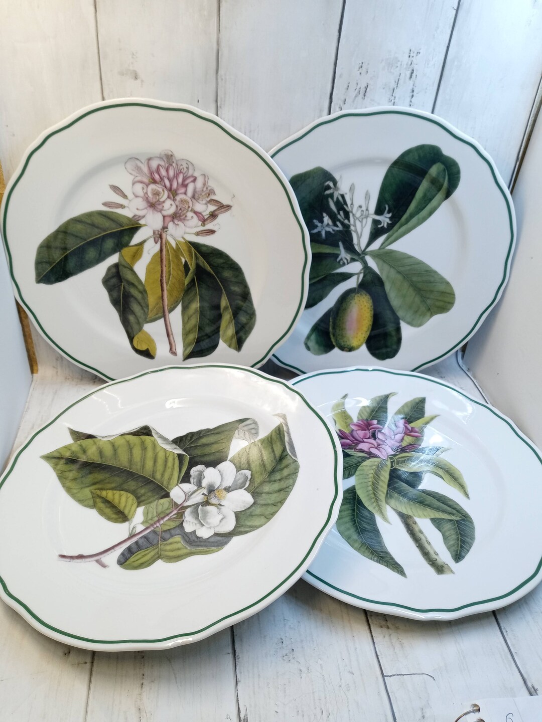 Andrea by Sadek Mark Catesby Multimotif Dinner Plates & Mugs Flowers ...