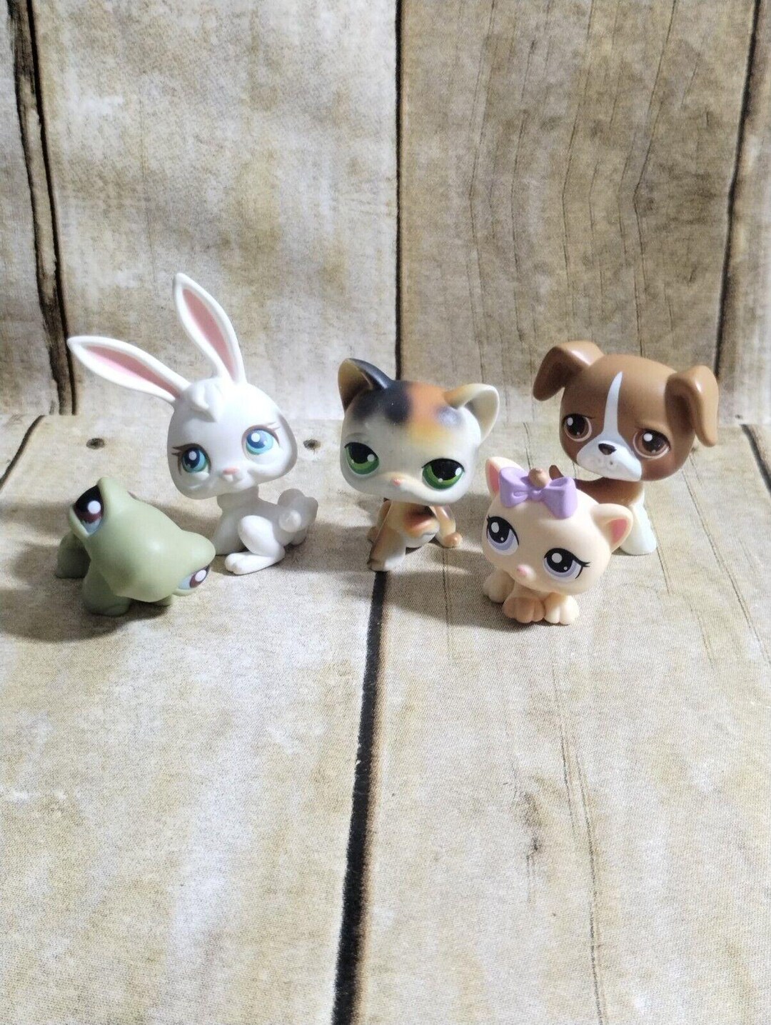 Hasbro Littlest Pet Shop LPS Lot of 5 Animals Rabbit Turtle Cats Dog ...