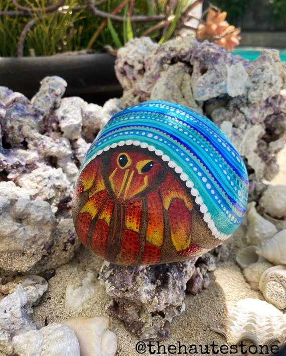 Hermit Crab With Painted Shell