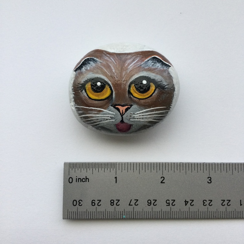 Scottish Fold Cat Hand Painted Rock Stone - Etsy