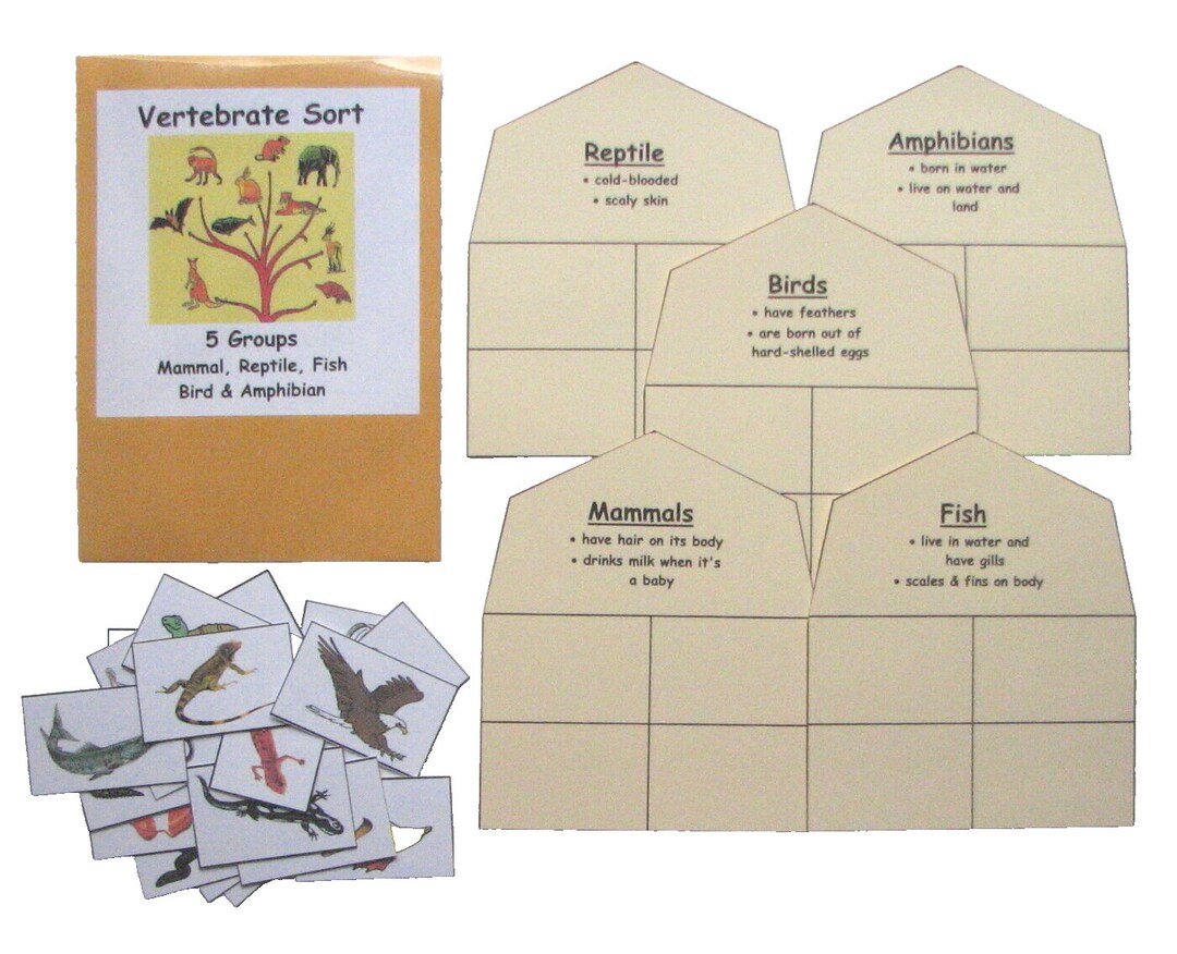 Educational Science Center Learning Resource Game Vertebrate Sort - Etsy