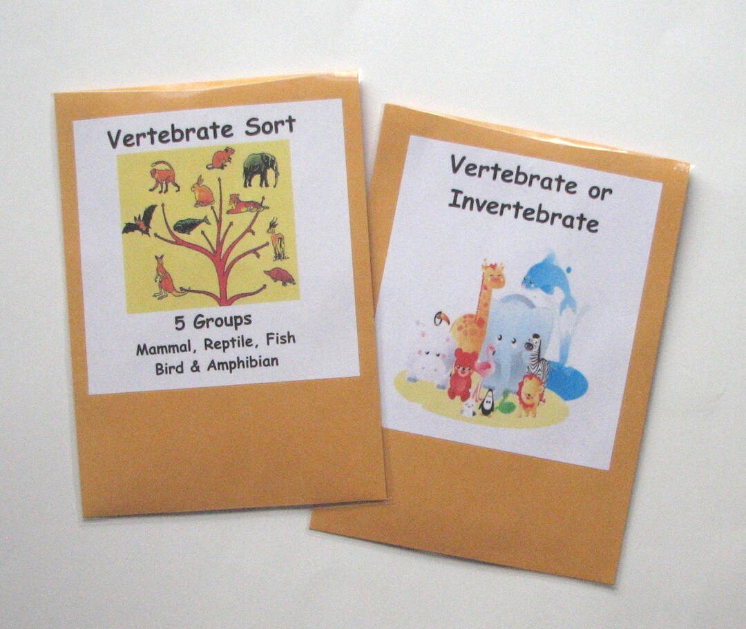 2 Educational Science Centers Resource Activity Games Vertebrate ...