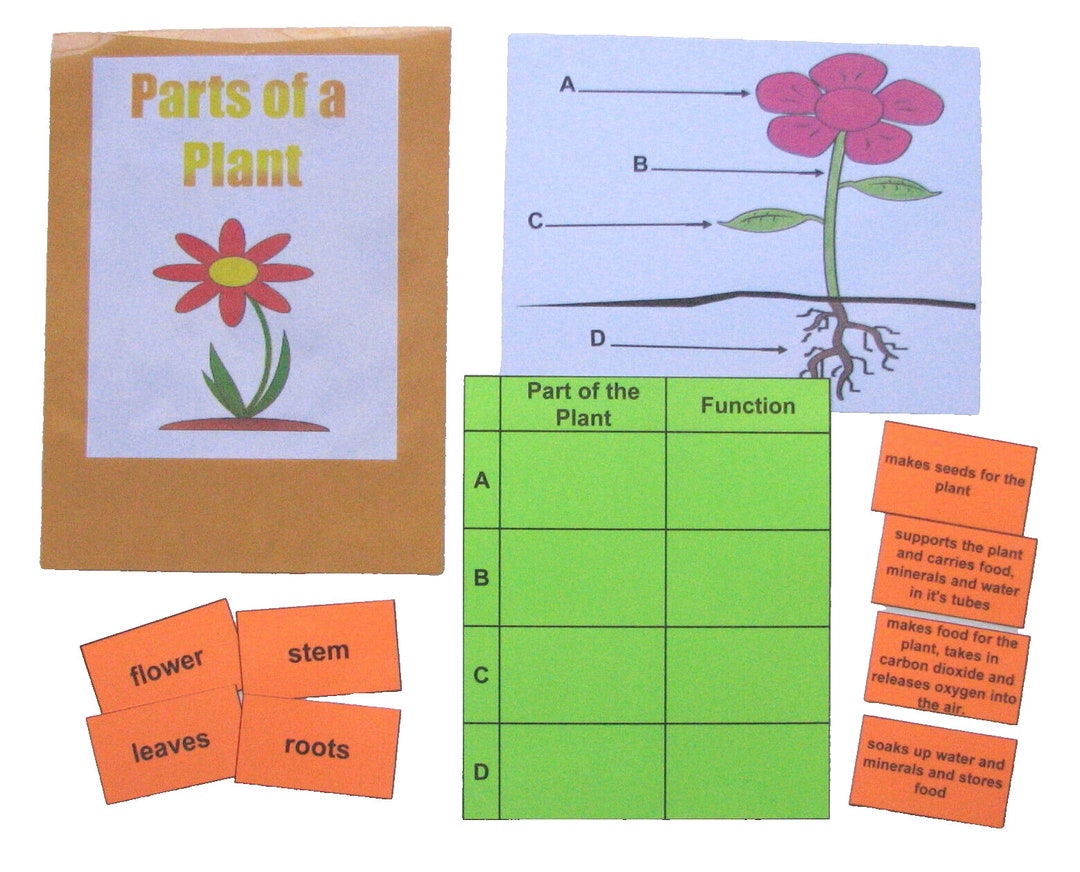 Teacher Depot Educational Science Activity Center Learning Resource ...