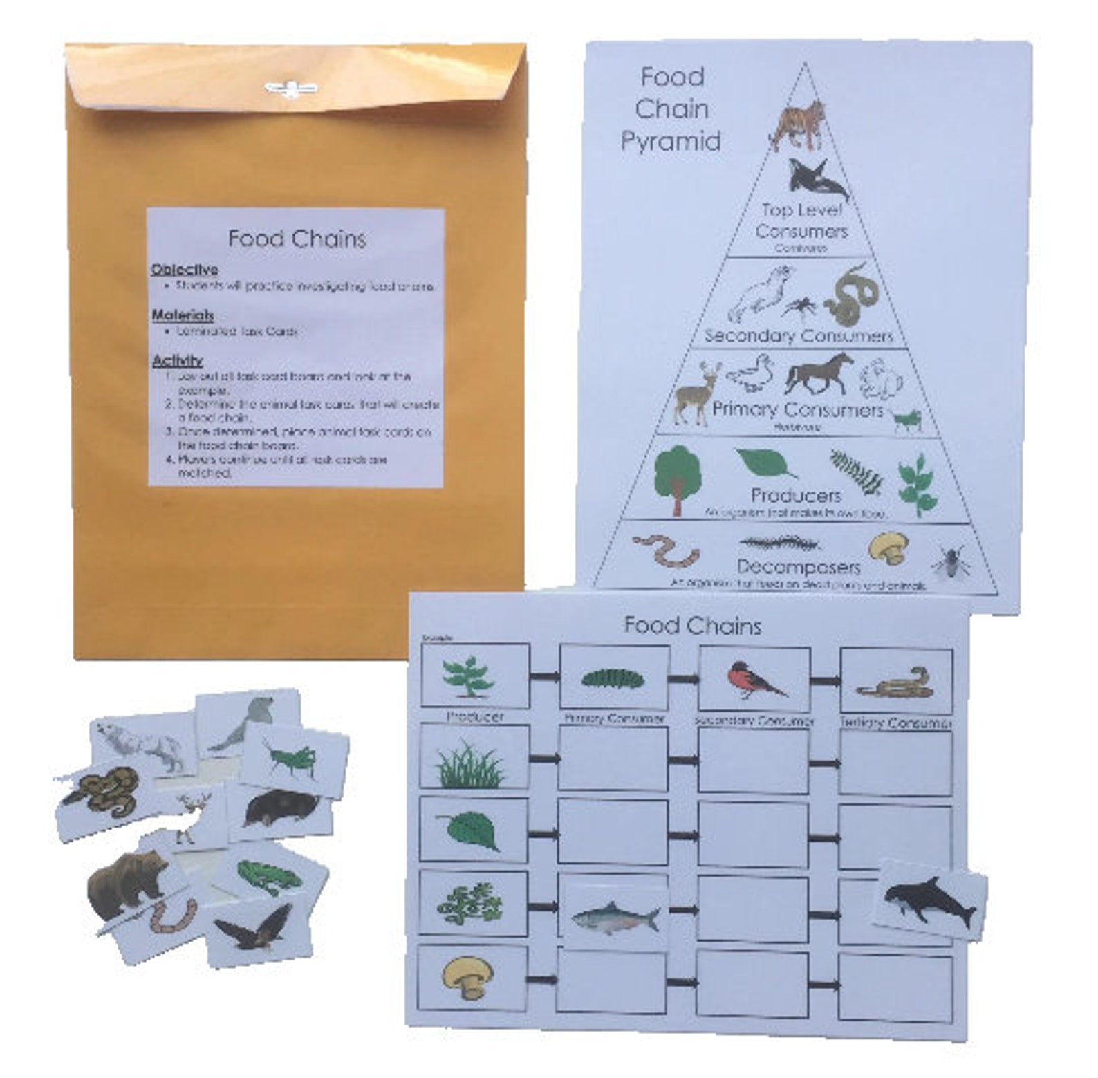 Teacher Depot Educational Science Center Teacher Learning Resource Game ...