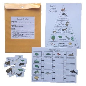 Teacher Depot Educational Science Center Teacher Learning Resource Game ...