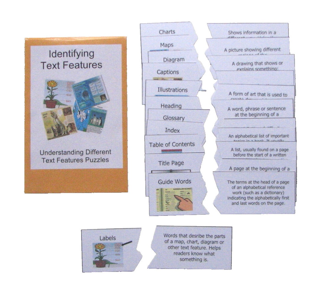 Educational Literacy Center Activity Game Identifying Different Text ...
