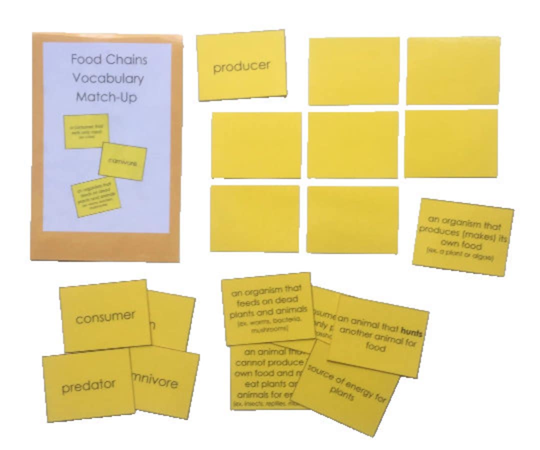 Teacher Depot Educational Science Center Learning Resource Game Food ...