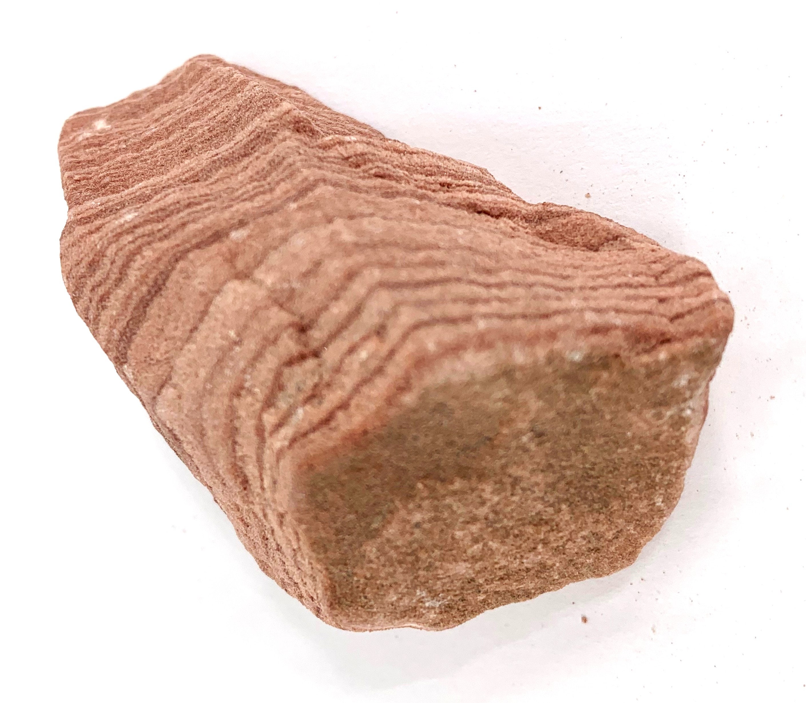 Sandstone Sedimentary Rocks