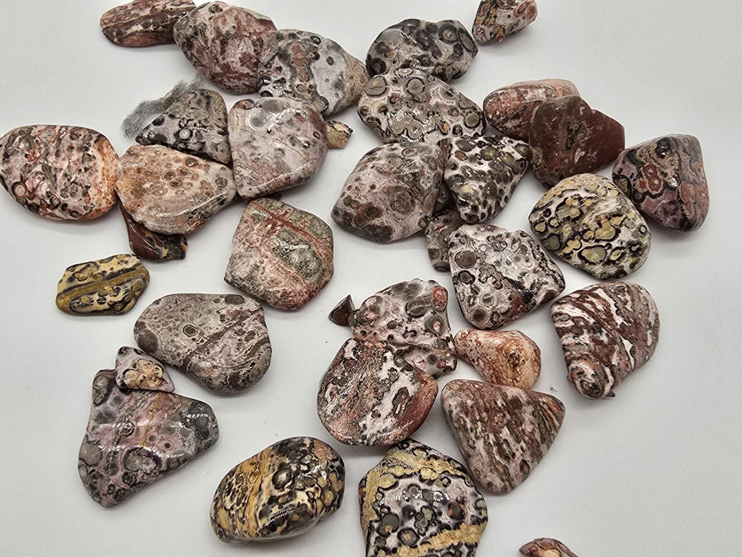 BULK Tumbled Leopard Skin Jasper Stone Specimens Leopardskin Mineral - Etsy