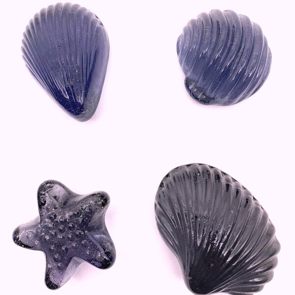 Seashells in Glass - Etsy