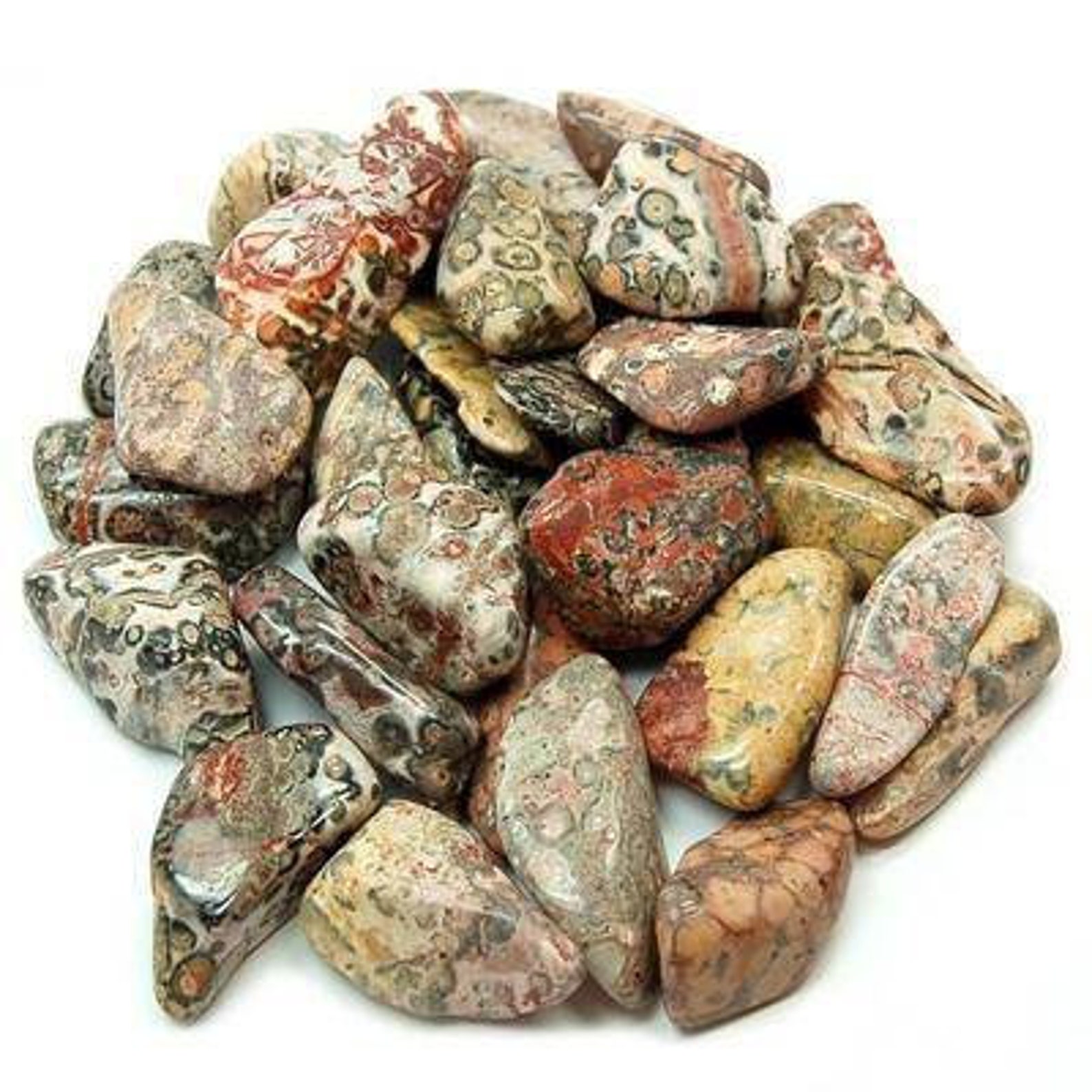 BULK Tumbled Leopard Skin Jasper Stone Specimens | Etsy