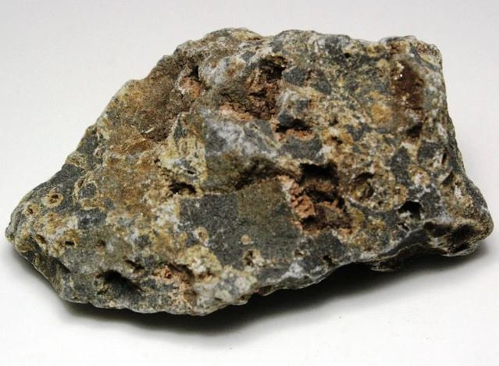 Breccia Rock 3 Unpolished Mineral Specimens Measures 1 2 | Etsy