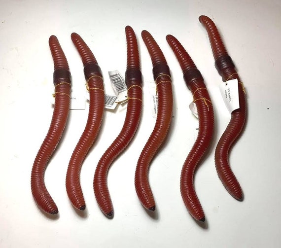High Quality 8.5 Inch Rubber Earthworm Replica Set of 6 | Etsy
