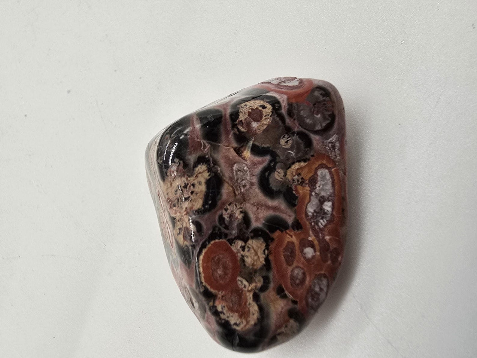 BULK Tumbled Leopard Skin Jasper Stone Specimens Leopardskin Mineral - Etsy