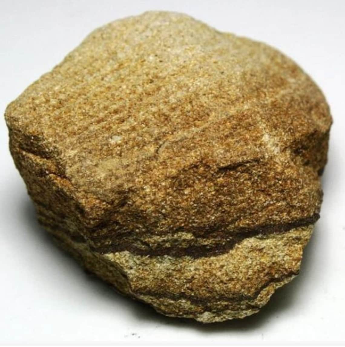 Sandstone Sedimentary Rock w/Banding 10 Unpolished Mineral | Etsy