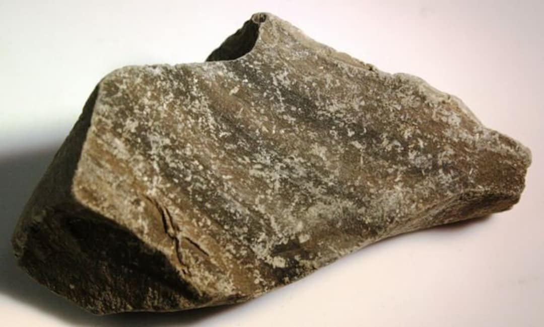 Brown Oil Shale Sedimentary Rock - 10 Raw Pieces Mineral Specimen - Etsy