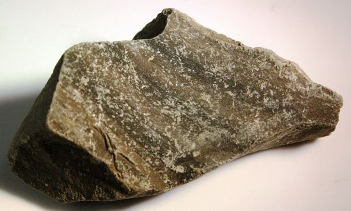 Brown Oil Shale Sedimentary Rock - 10 Raw Pieces Mineral Specimen - Etsy