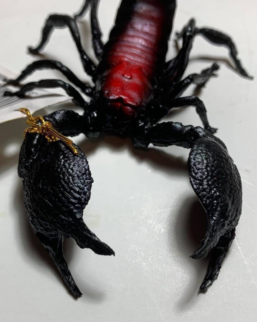High Quality 6 Inch Rubber Scorpion Set of 6 Halloween - Etsy