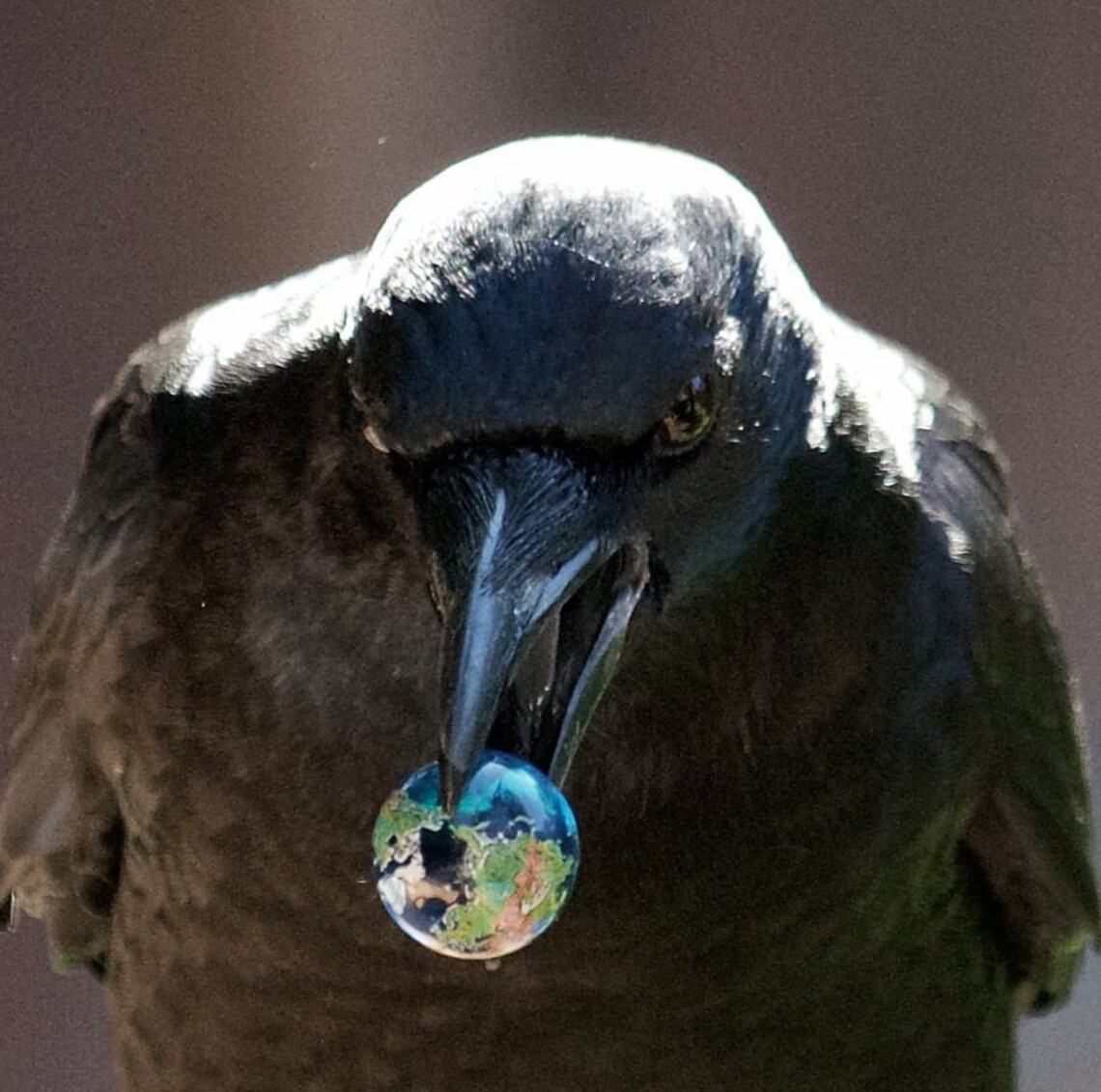 22mm Single Natural Earth Blue Glass Marble Artglass With - Etsy