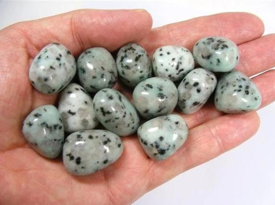 Amazon River Stone sesame Jasper Metaphysical Healing - Etsy