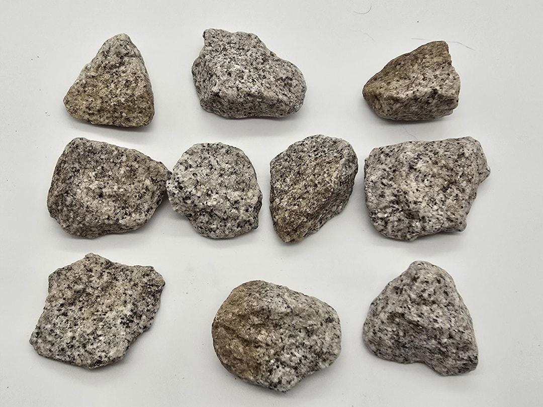 Biotite Granite Intrusive Igneous Rock - Ten Unpolished Rock Specimens ...