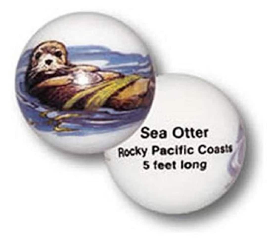 Sea Otter Animarbles Set of 2 - 25mm Educational Marbles w Stands Party ...