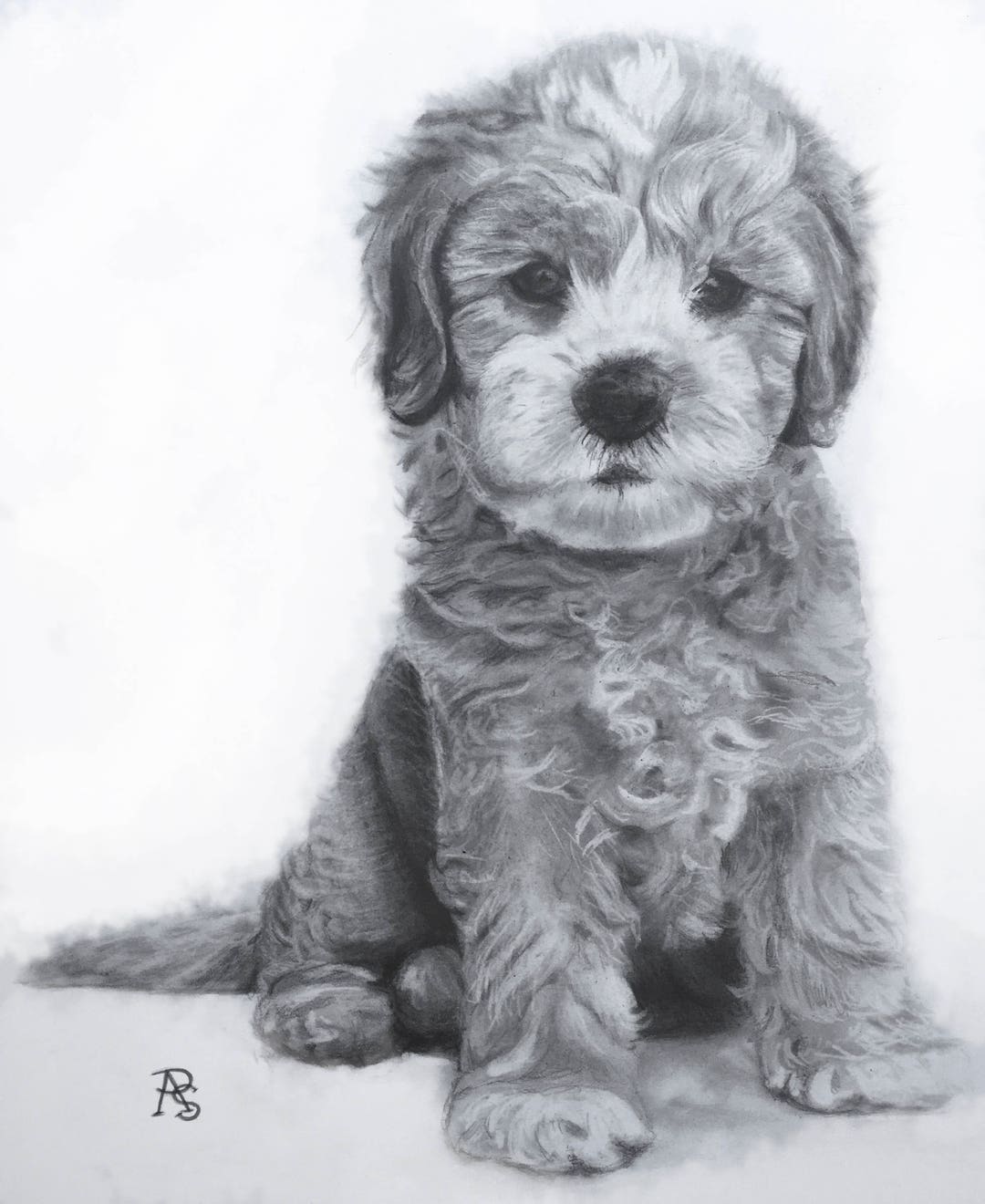Custom Hand Drawn Pet Portraits - Etsy