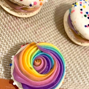 Rainbow French Macarons - Etsy