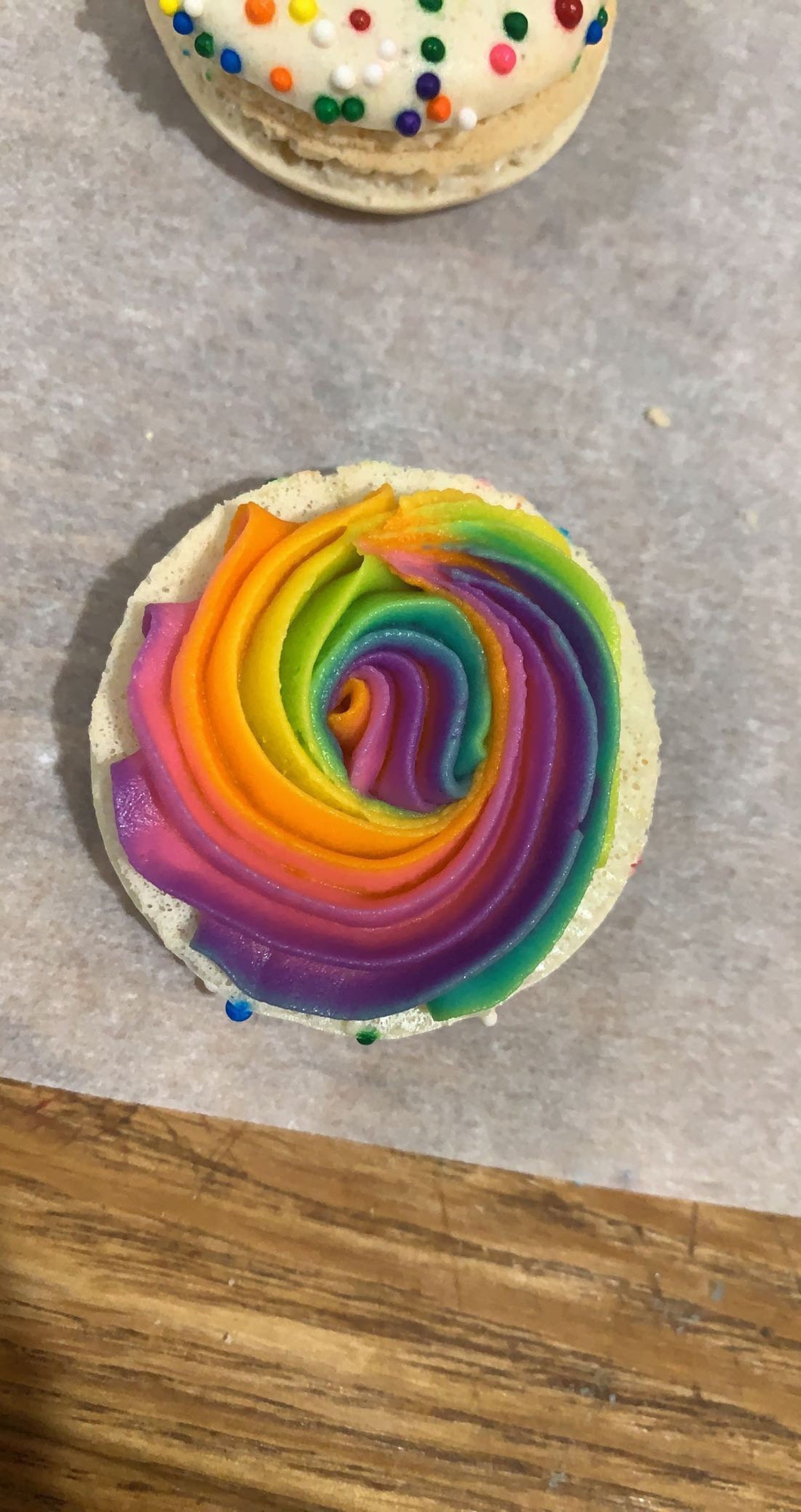 Rainbow French Macarons - Etsy