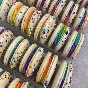 Rainbow French Macarons - Etsy