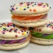 Rainbow French Macarons - Etsy
