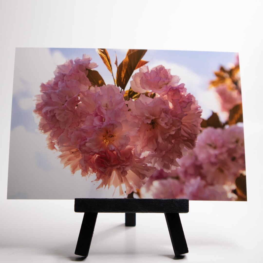 Tiny Gallery Entry 34 4x6 Gloss Print - Etsy