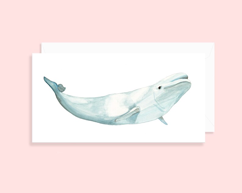 Watercolor Whales Note Card Set With Envelopes, Set of 4, Greeting Card ...