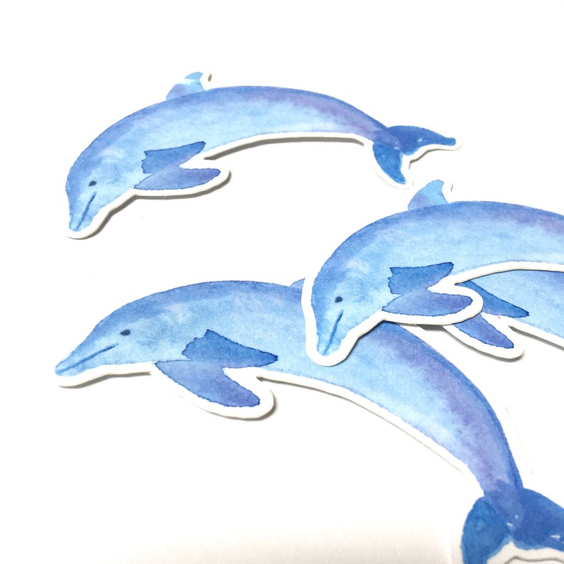 Dolphin Stickers Ocean Stickers Dolphin Lover Vinyl - Etsy
