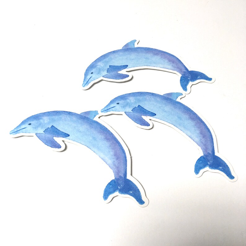 Dolphin Stickers Ocean Stickers Dolphin Lover Vinyl - Etsy