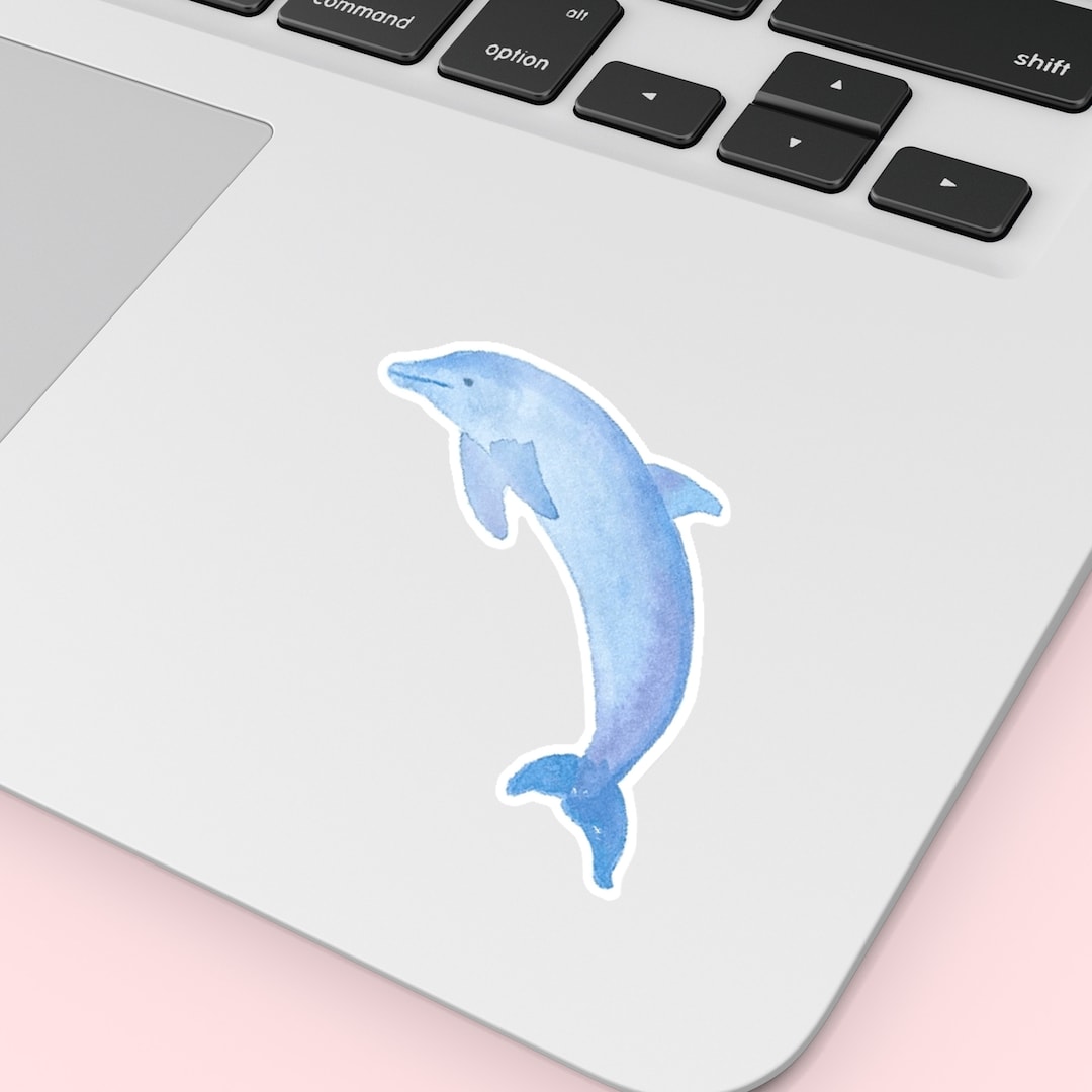 Dolphin Stickers Ocean Stickers Dolphin Lover Vinyl - Etsy