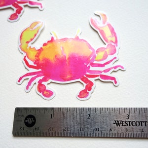 Pink Crab Stickers, Animal Lover Stickers, Watercolor Ocean Stickers ...