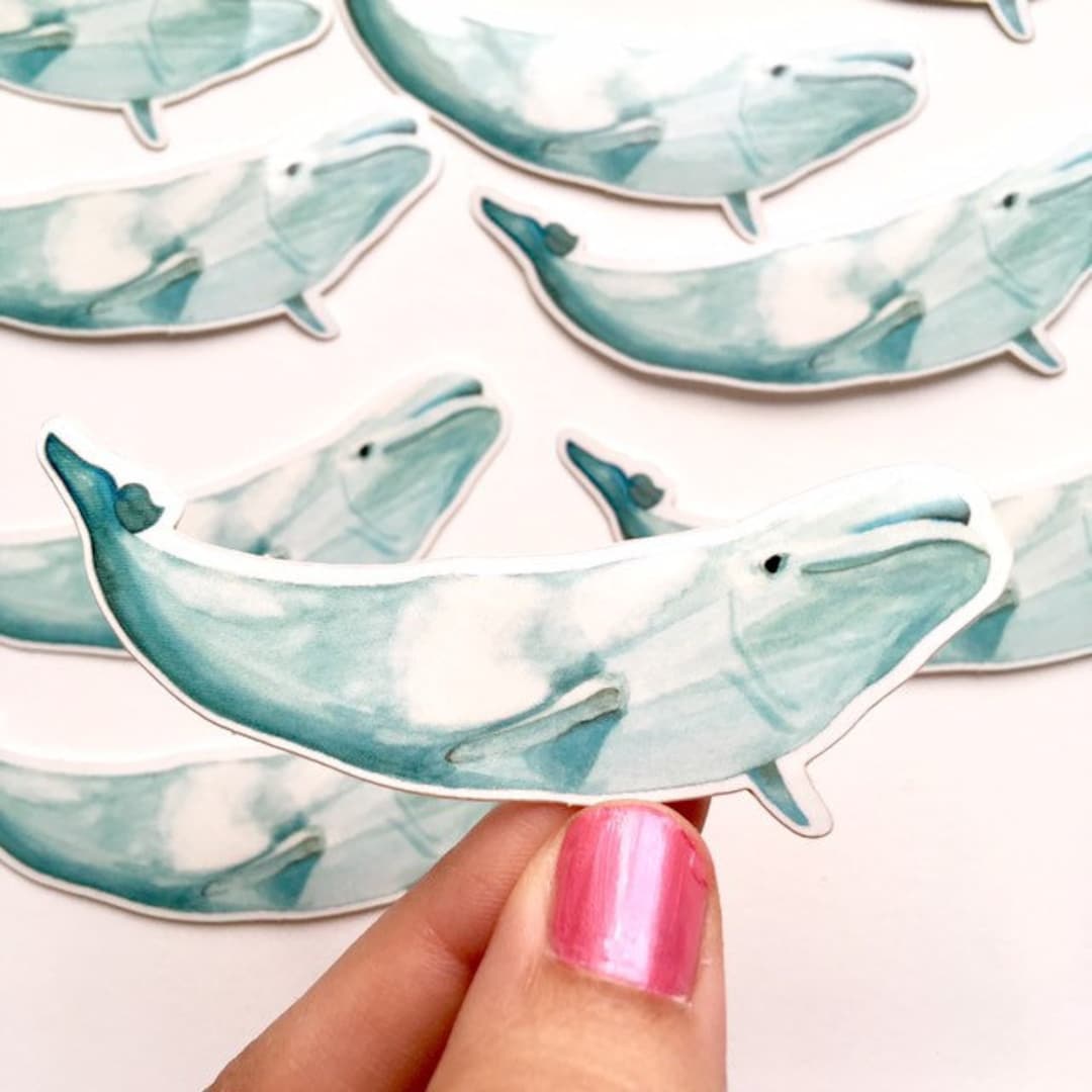 Beluga Whale Stickers, Animal Lover, Whale Themed Gifts, Ocean ...