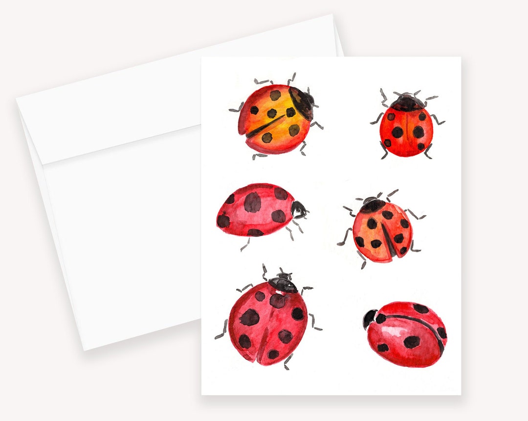Ladybug Watercolor Greeting Card and Envelope, Insect Stationary, Bug ...