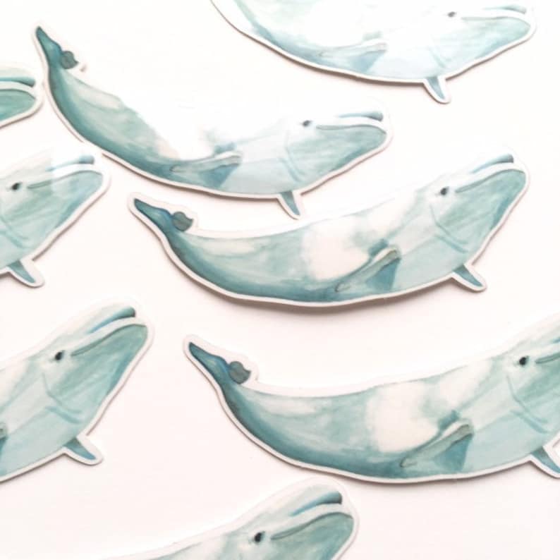 Beluga Whale Stickers Animal Lover Whale Themed Gifts Ocean - Etsy
