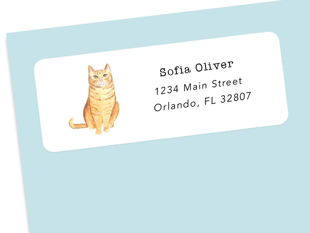 Orange Cat Address Label Stickers, Envelope Stickers, Custom Address ...