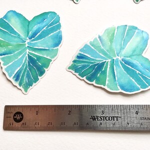 Watercolor Leaf Stickers Bullet Journal Stickers Stationary - Etsy
