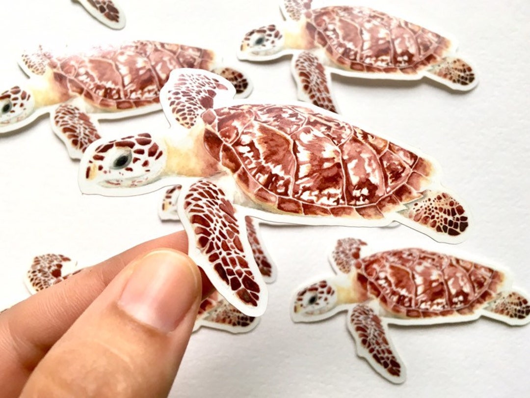 Sea Turtle Stickers, Animal Lover Stickers, Whale Stickers, Ocean ...